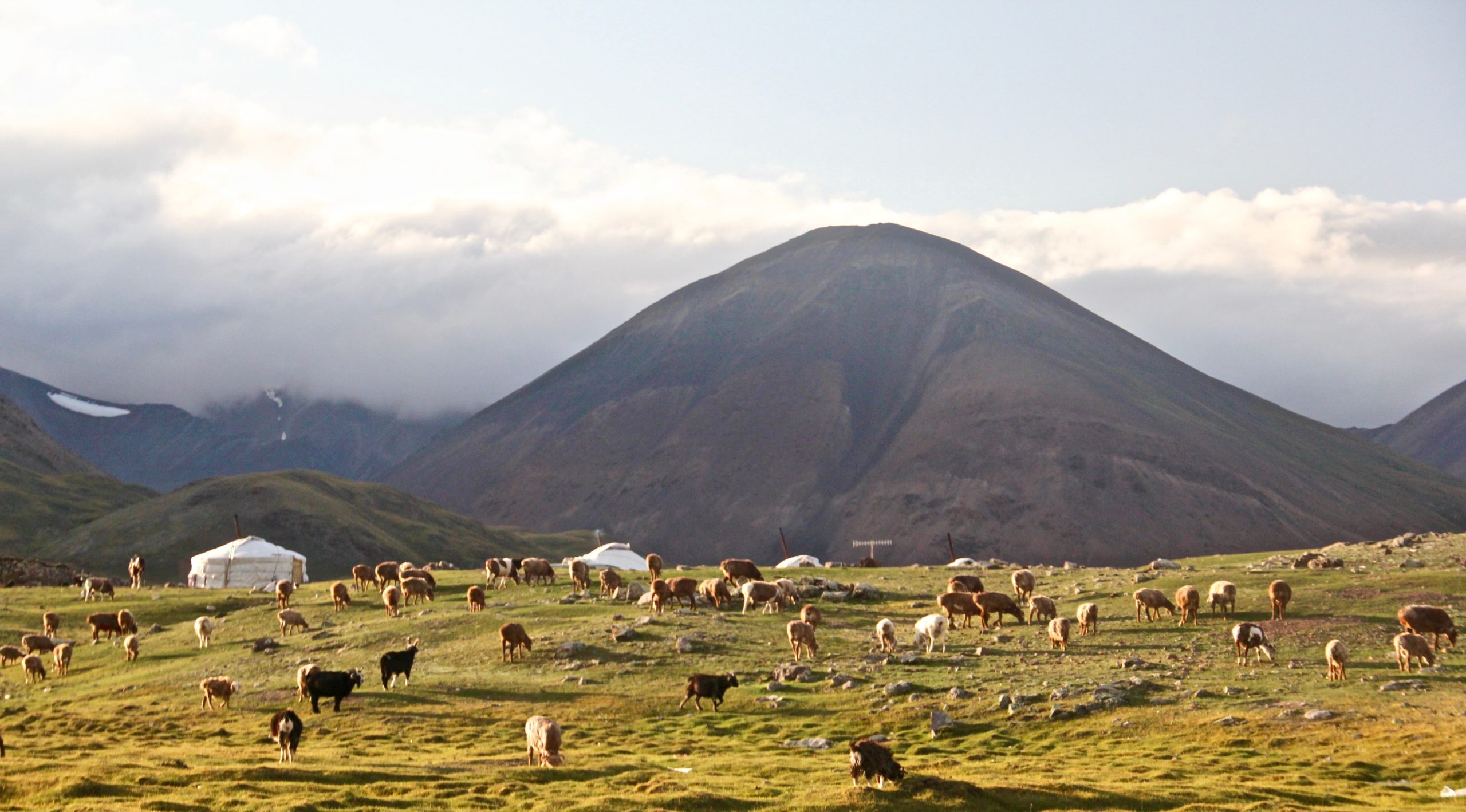 Mongolie : Découvrez nos deux nouveaux circuits privés – La Perle Noire